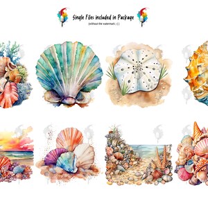 Seashell Serenity - 24 Watercolor Seashell Cliparts Bundle, Watercolor ...