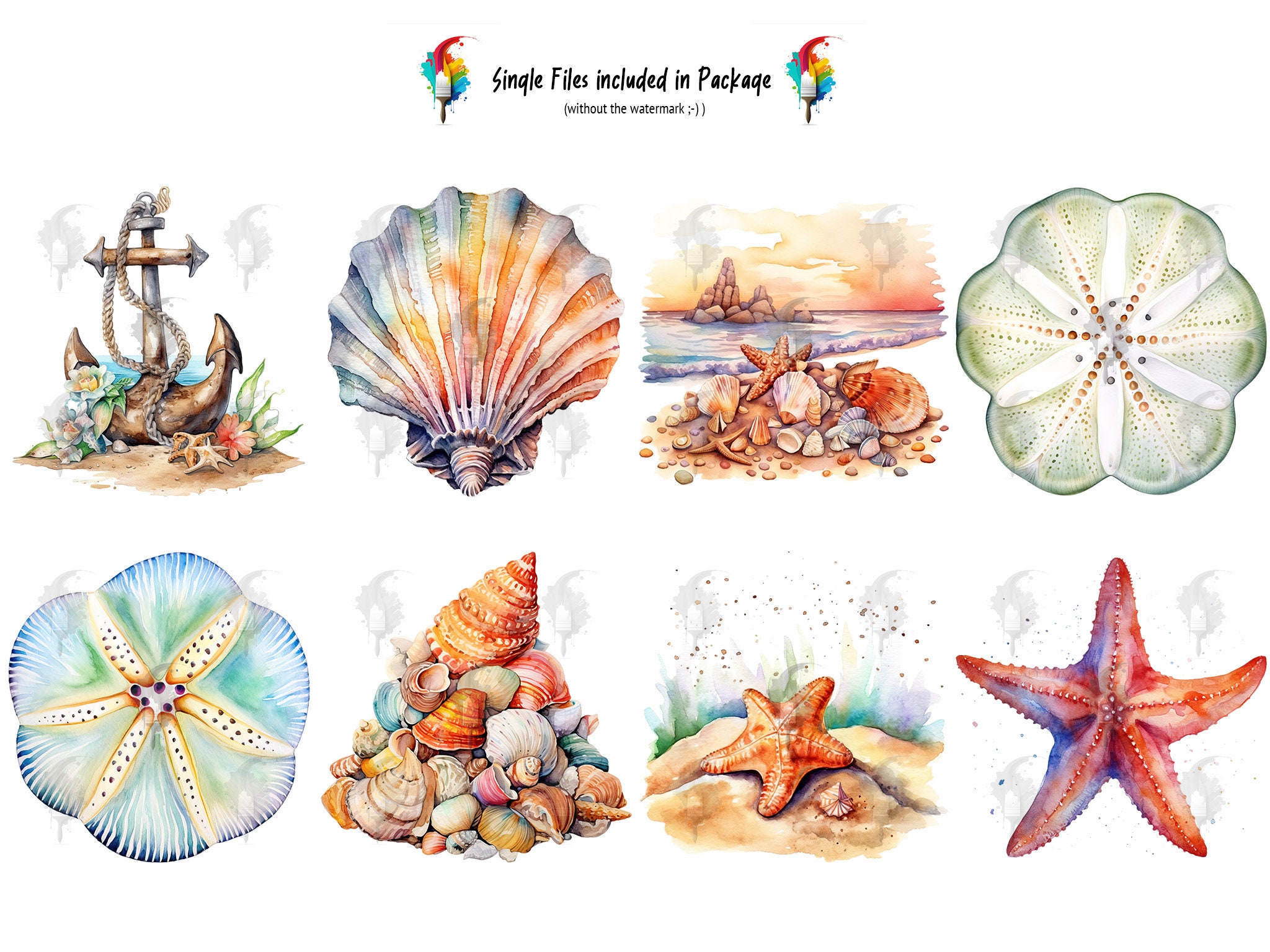 Seashell Serenity 24 Watercolor Seashell Cliparts Bundle, Watercolor ...