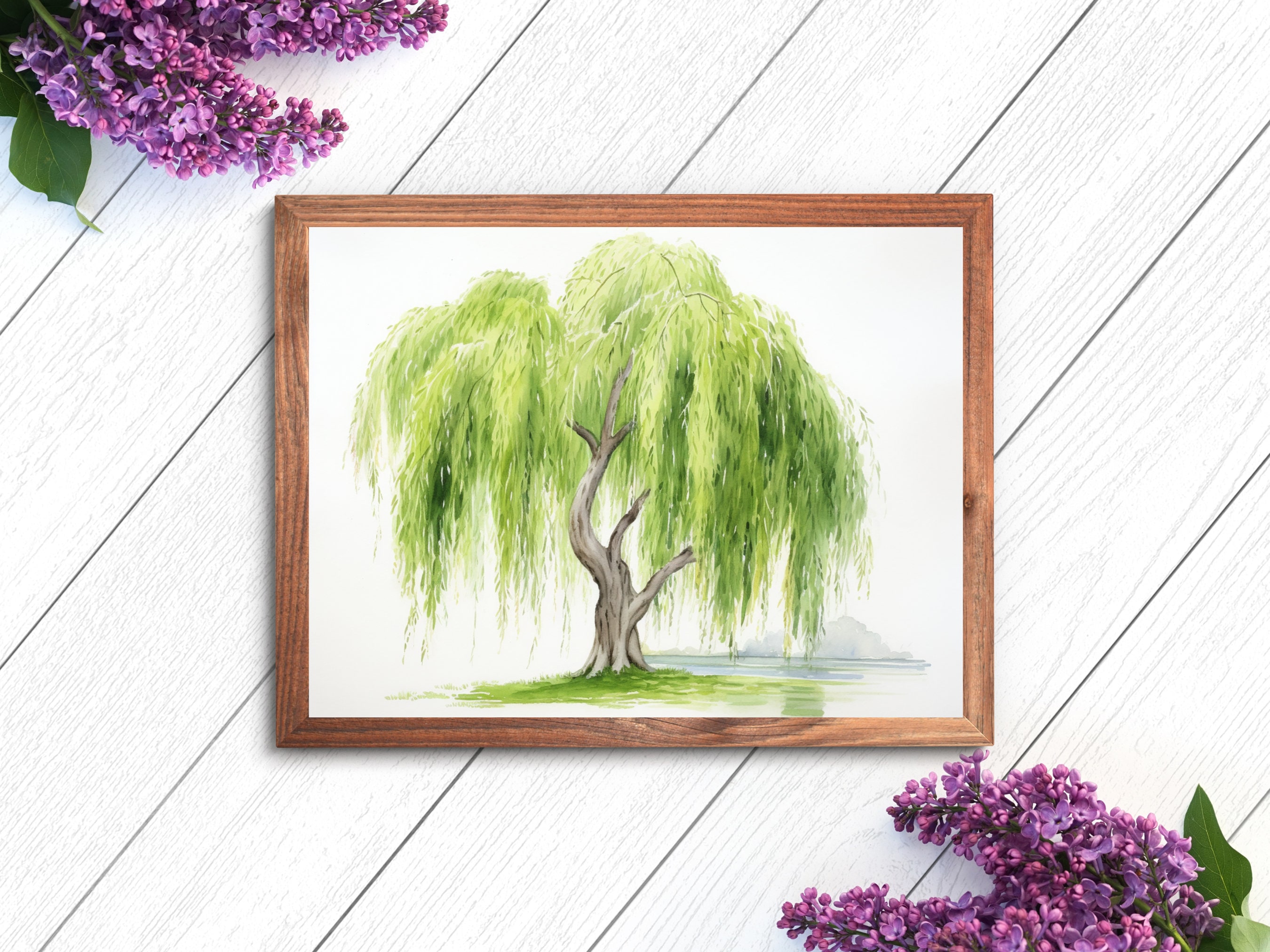 Willow Tree, Watercolor Art, Weeping Willow Tree, Botanical Art ...