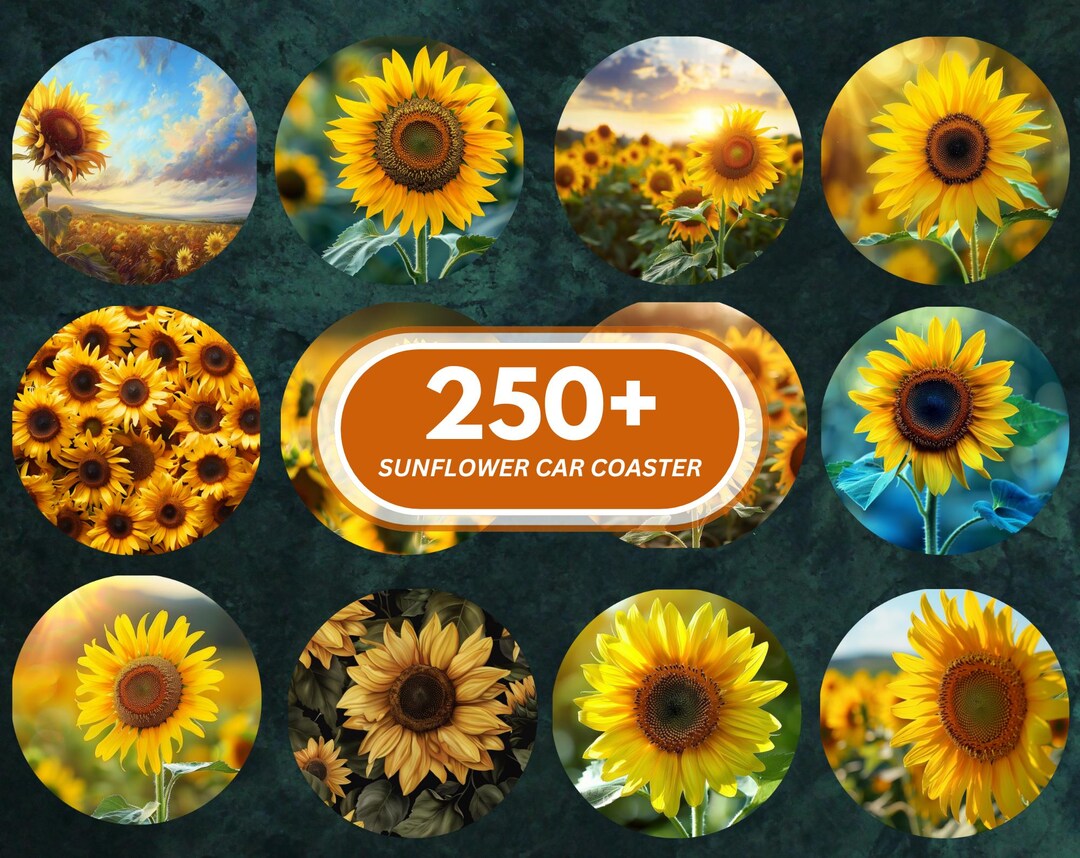 250+ Rustic Floral Car Coaster PNG Bundle Western Sunflower Car Coaster ...