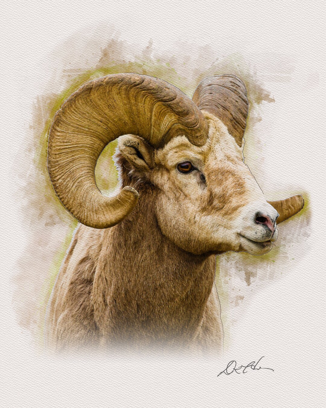 Ram Ram Home Ram House Wall Art Wall Decor Rammie - Etsy