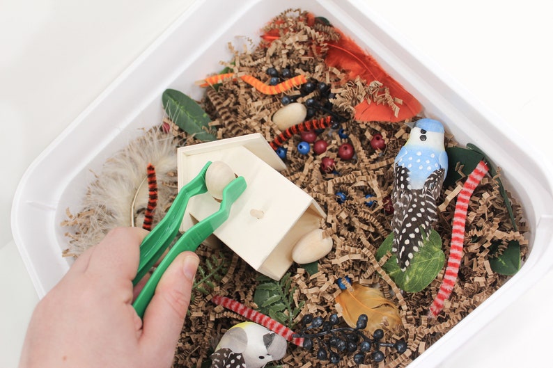 Bird's Nest Sensory Bin | Kids Activity Box | Sensory Play | Toddler ...