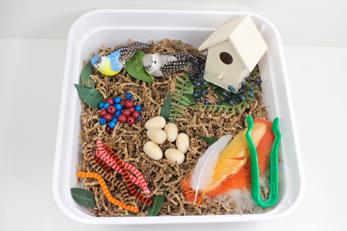 Bird's Nest Sensory Bin | Kids Activity Box | Sensory Play | Toddler ...