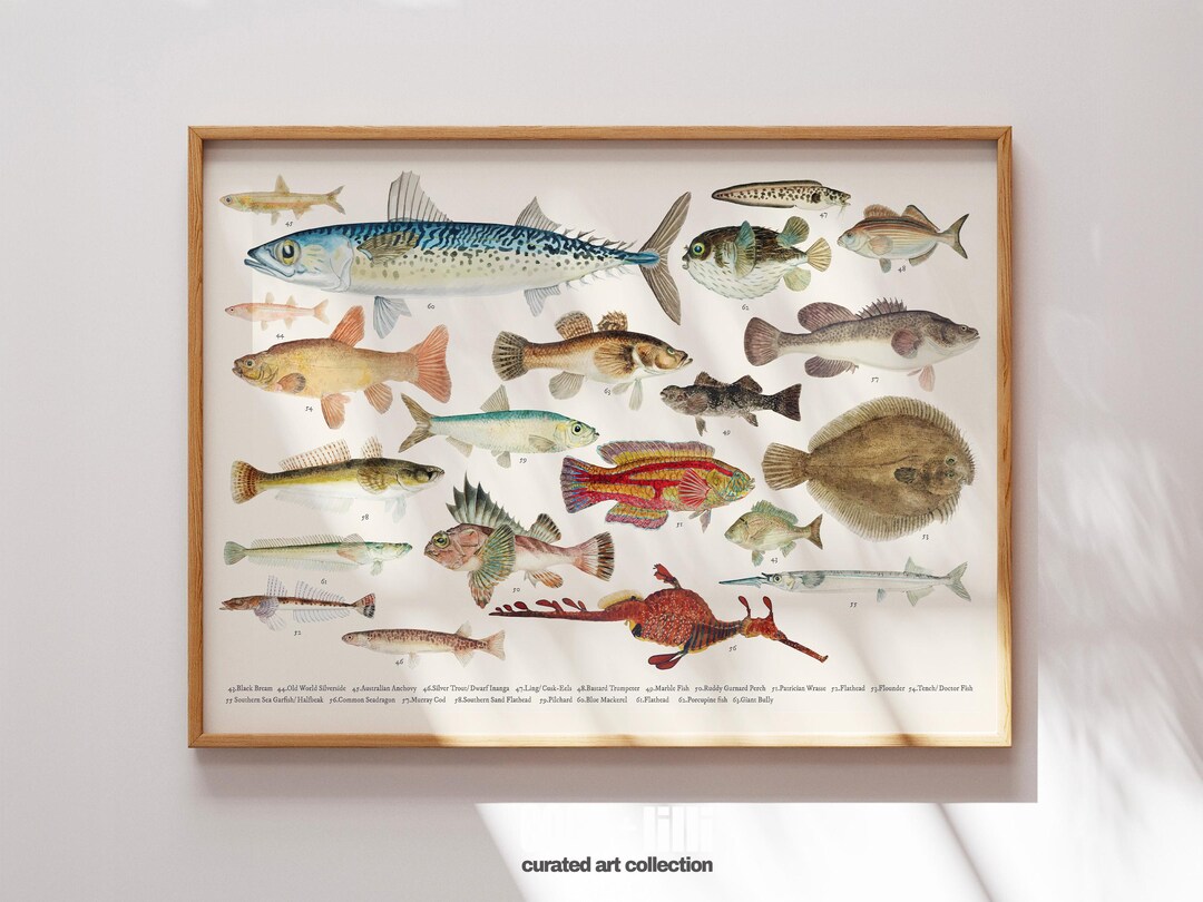 Fishing Wall Decor Fish Artwork Fishing Print Gift for Fisherman Ocean ...