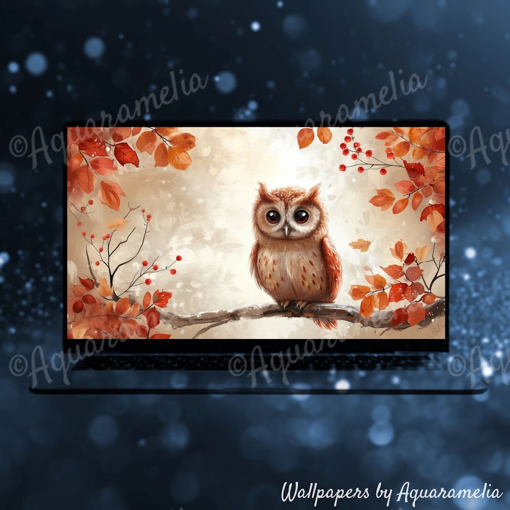 Cute Owl Animal Desktop Wallpaper, Cute Pet Owl Wallpaper, Valentines ...