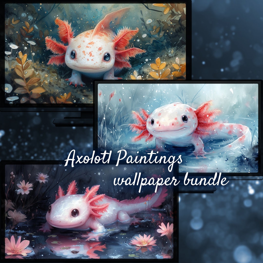 Axolotl Cute Animal Desktop Wallpaper, Cute Pet Wallpaper, Valentines ...