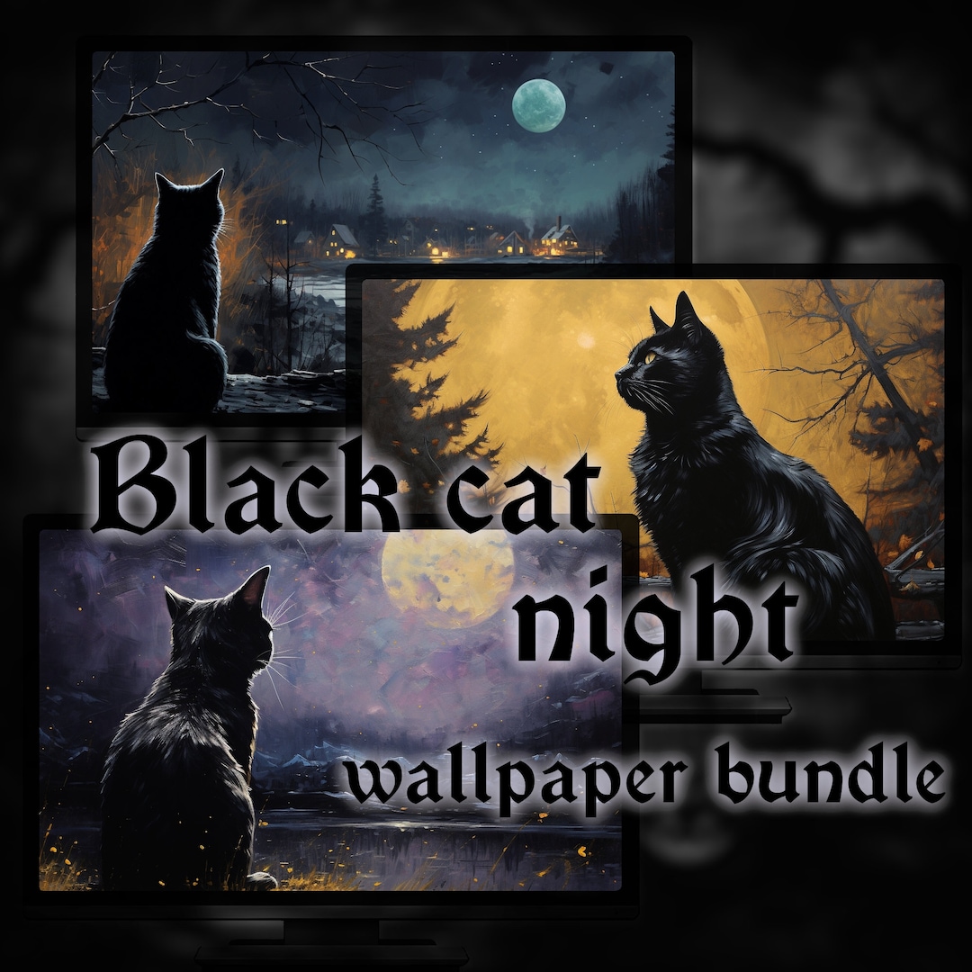 Black Cat Night Desktop Wallpapers, Bundle of 9 Magic Romantic Black ...