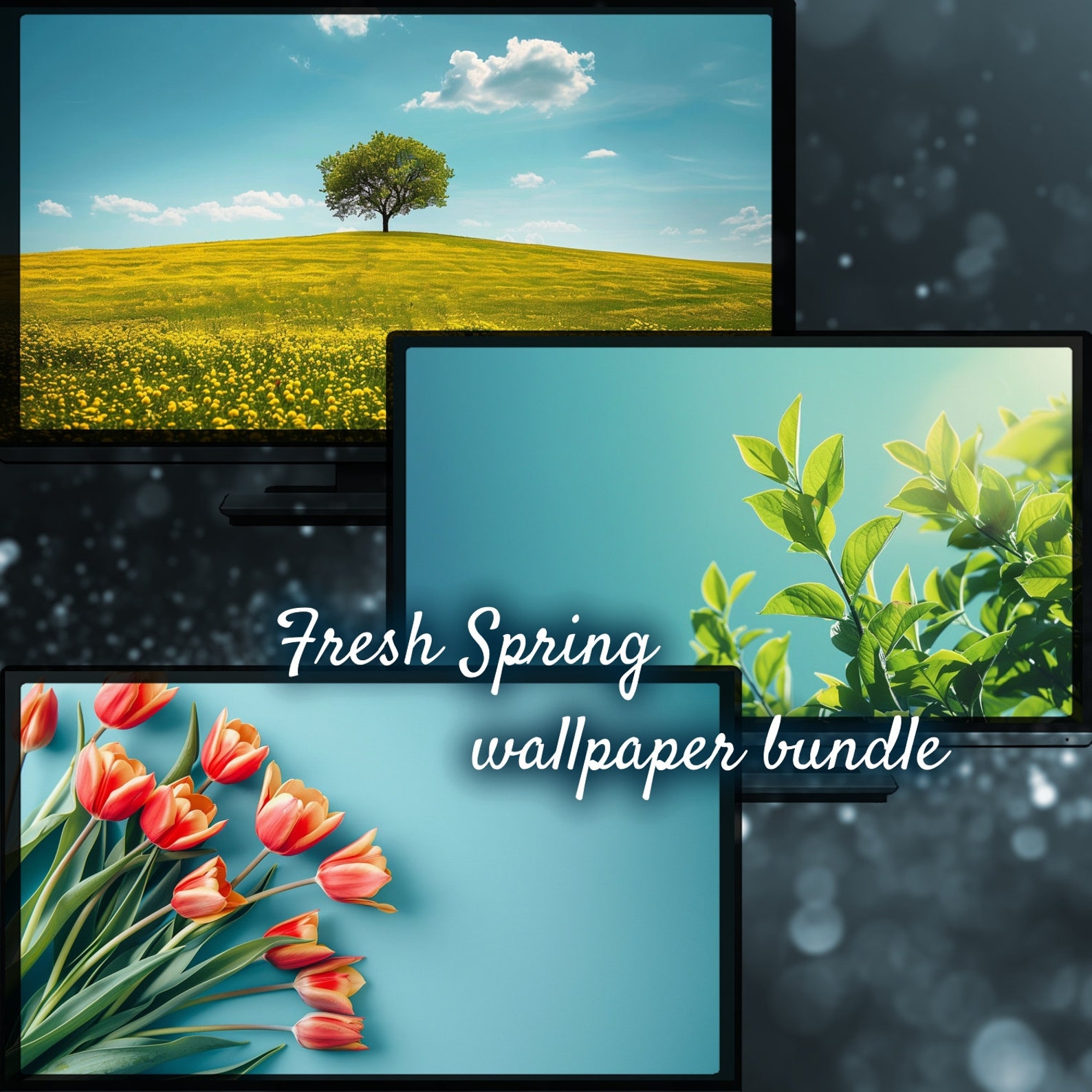 Fresh Spring Flower Desktop Background, Beautiful Minimalist Flowers ...