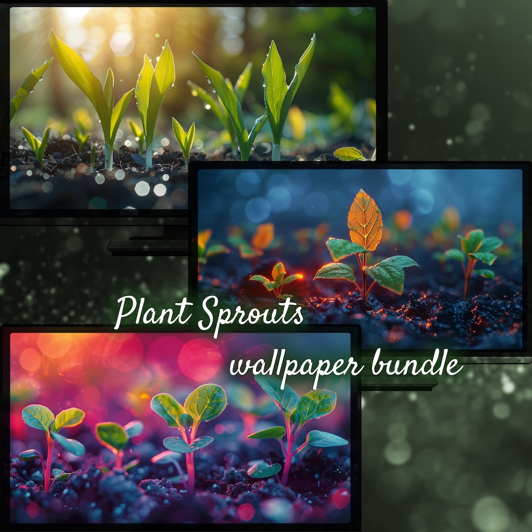 Plant Sprouts Desktop Background, Spring Houseplant Seedling Gardening ...