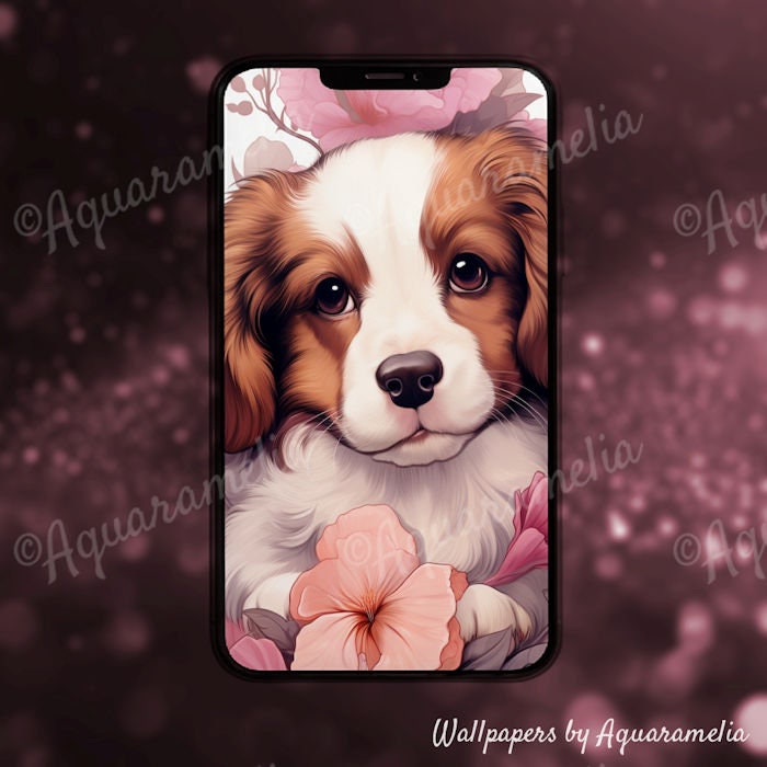 Animal Love Cute Phone Background, Cute Animals Lock Screen Wallpaper ...