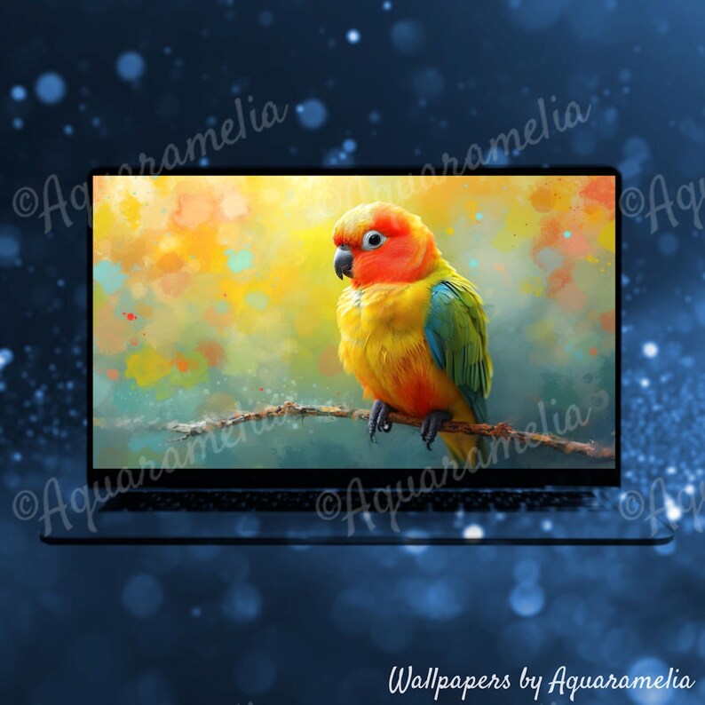 Parrots Cute Animal Desktop Wallpaper, Cute Parrot Wallpaper, Mothers ...