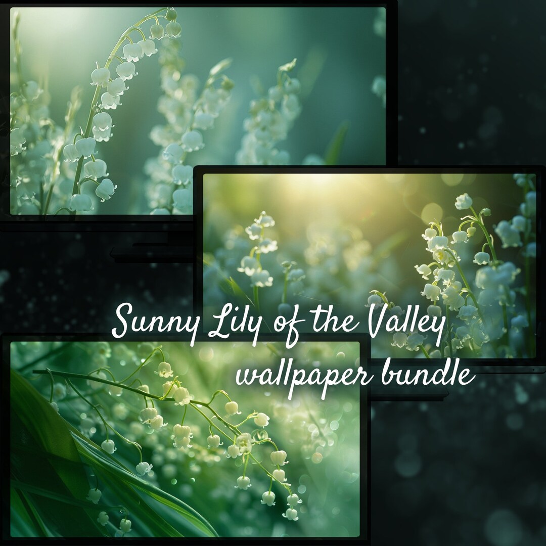 Sunny Spring Flower Desktop Background, Beautiful Lily of the Valley ...