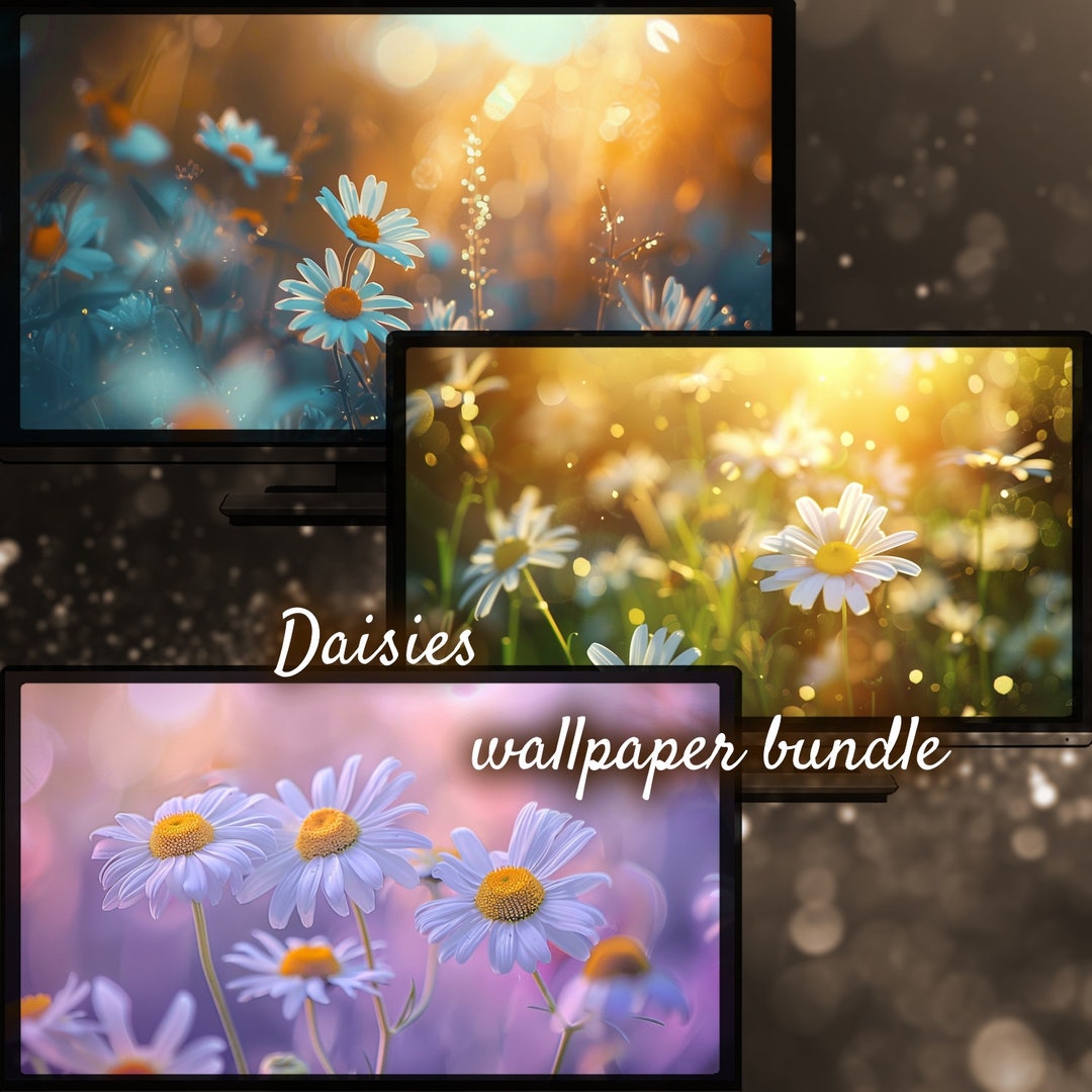 Spring Wildflowers Desktop Background, Beautiful Daisies Nature ...