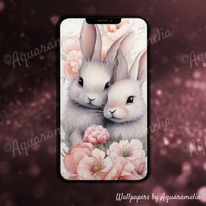 Animal Love Cute Phone Background, Cute Animals Lock Screen Wallpaper ...