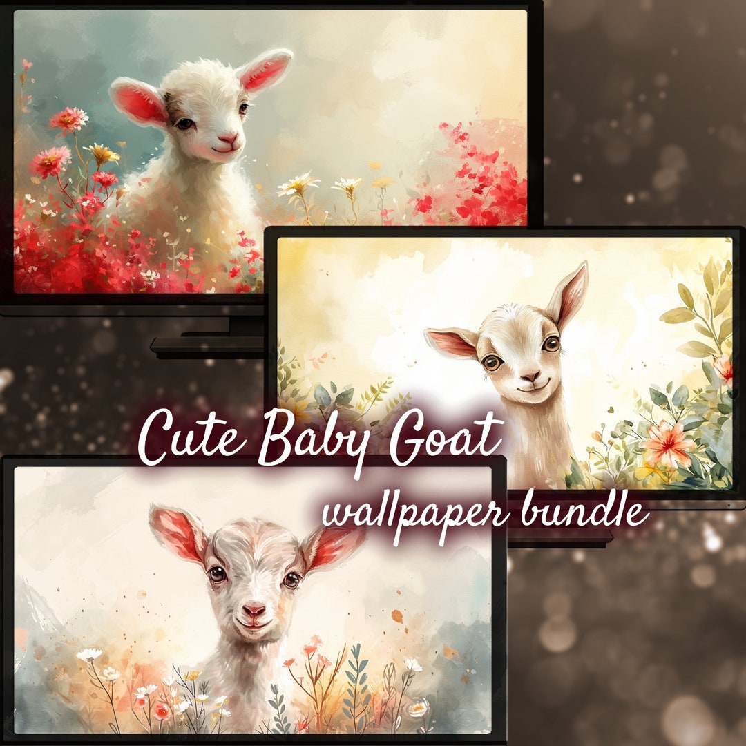 Cute Baby Goat Desktop Background, Sweet Animal Wallpapers, Cute Pet ...