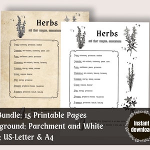 Witchcraft Basic Bundle Grimoire Pages, Magic Starter Kit, Grimoire ...