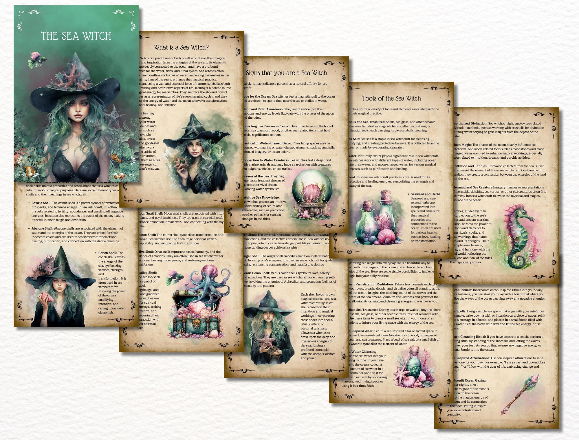 The Sea Witch PDF Bundle, Types of Witches, Sea Magic, Ocean Magick ...