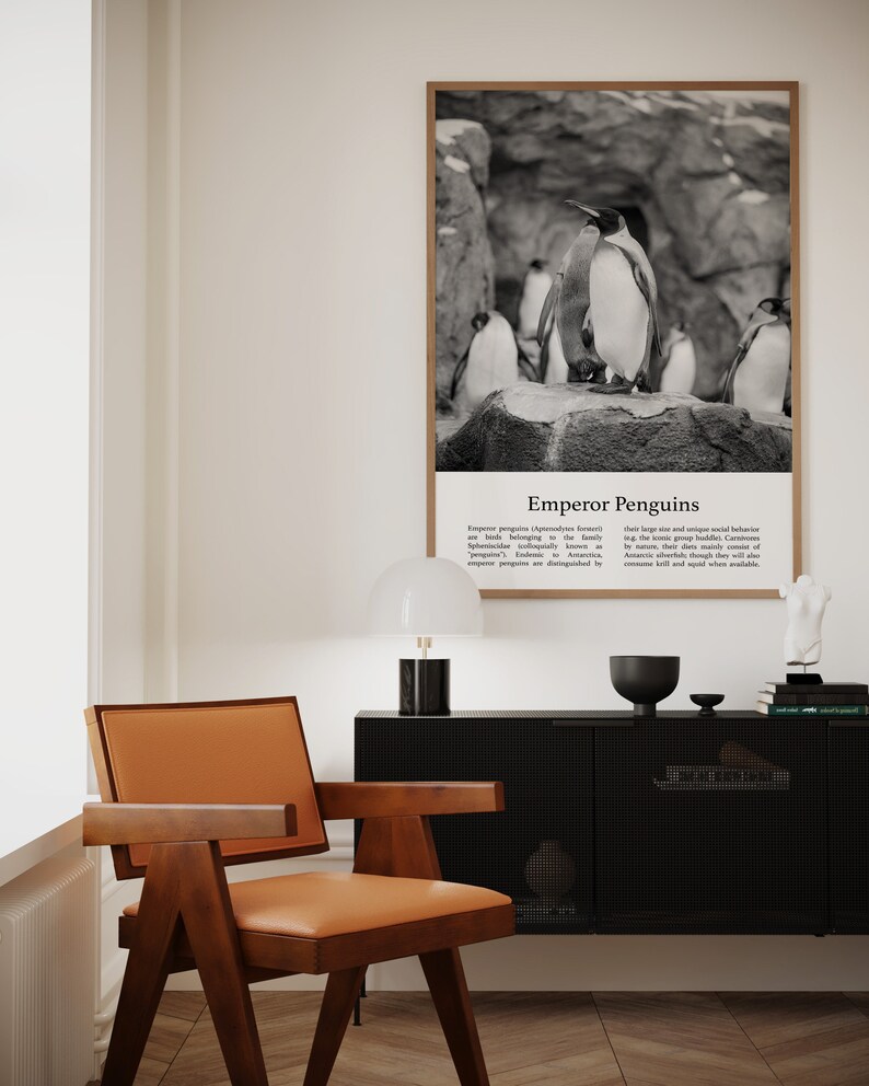 Emperor Penguin Print, Printable Emperor Penguin Wall Art, Infographic ...