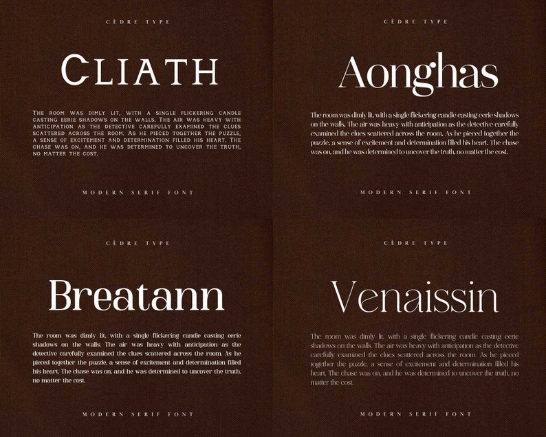 Modern Serif Fonts Bundle 3, Elegant Modern Serif Font OTF, High End ...