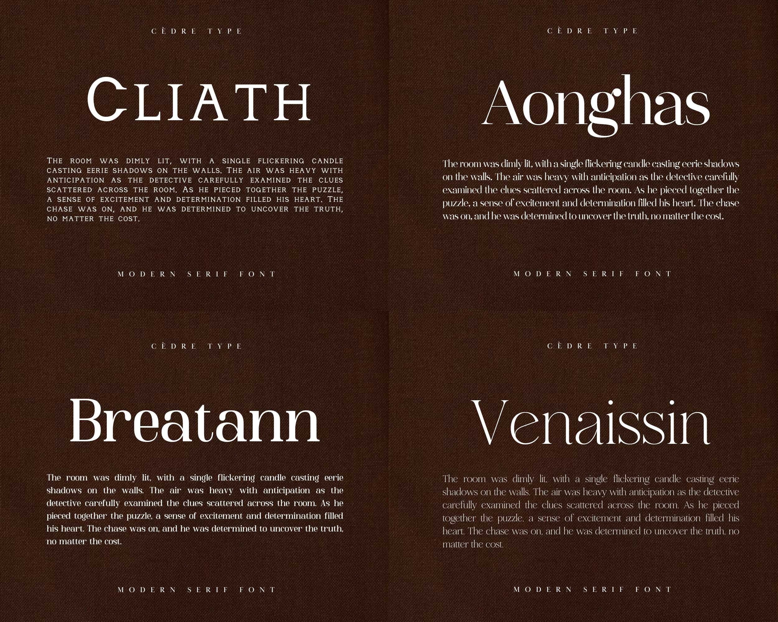Modern Serif Fonts Bundle 3, Elegant Modern Serif Font OTF, High End ...