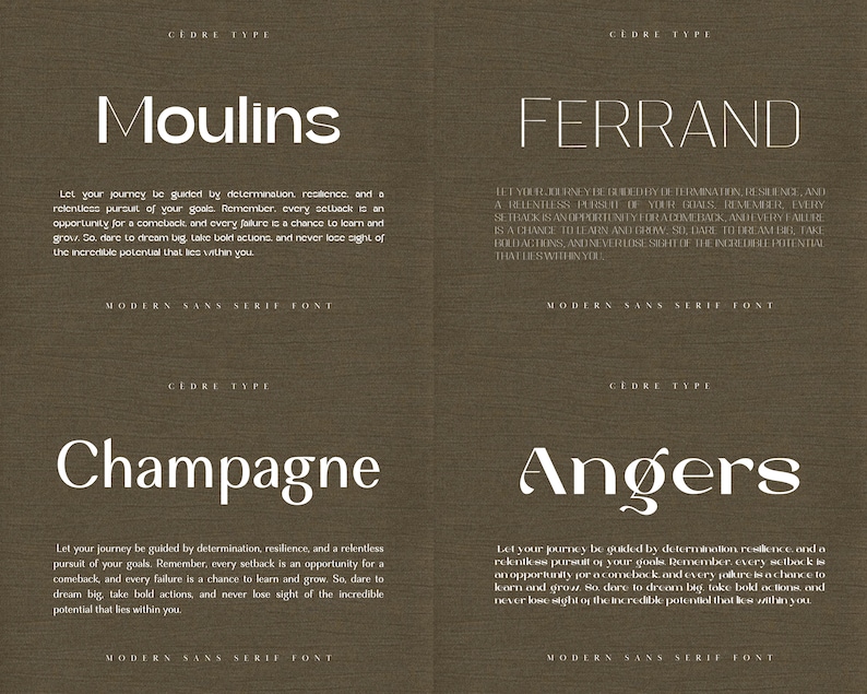 Modern Sans Serif Fonts Bundle 3, Elegant Modern Sans Serif Font OTF ...