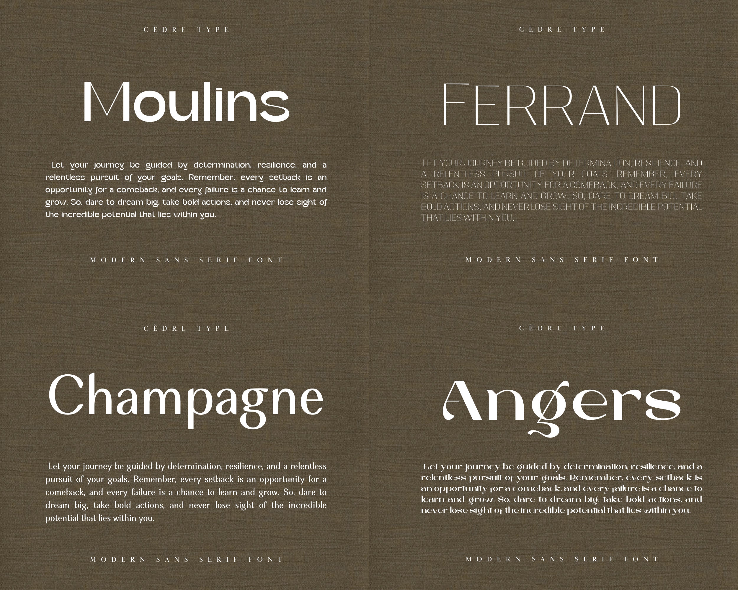Modern Sans Serif Fonts Bundle 3, Elegant Modern Sans Serif Font OTF ...