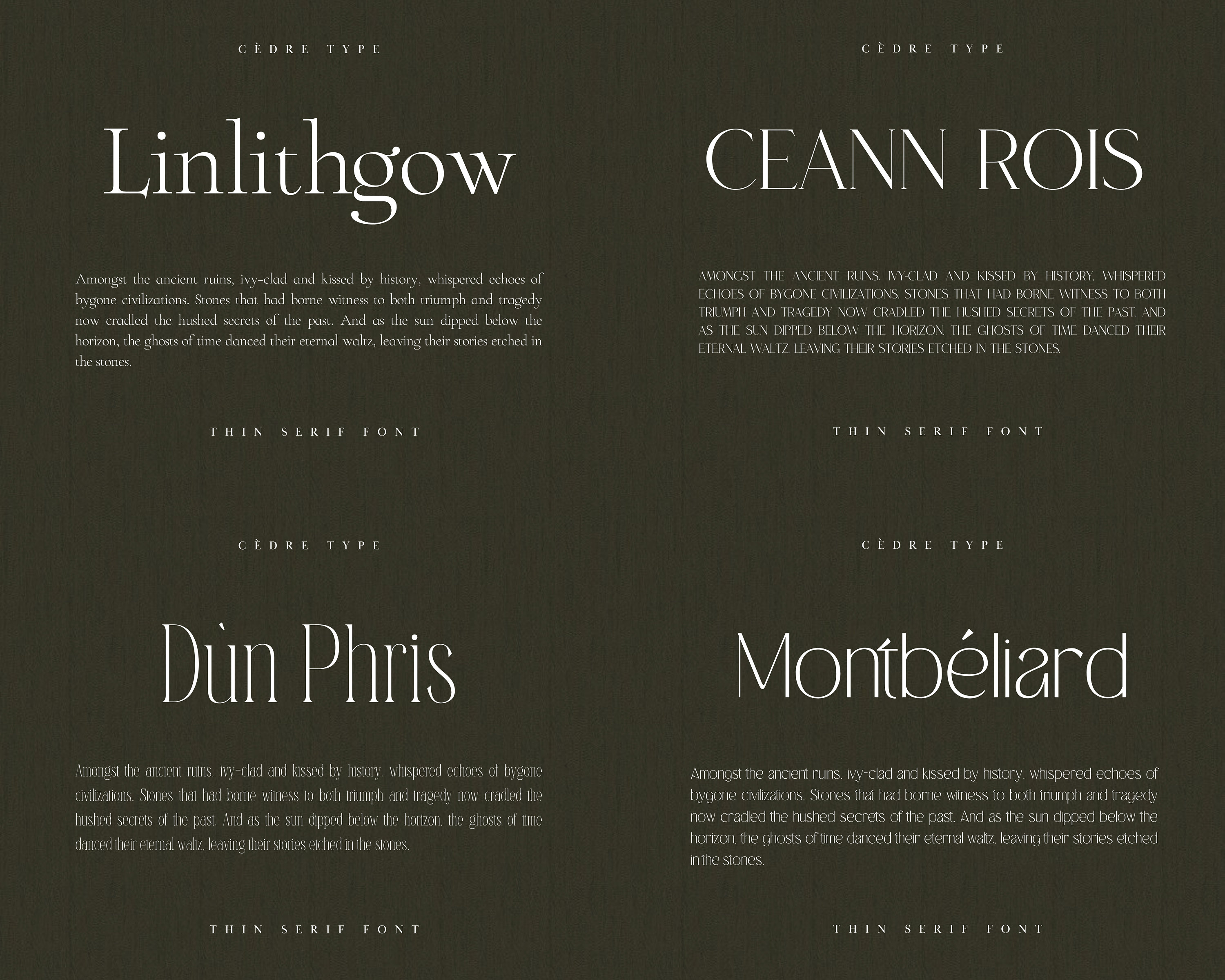 Modern Thin Serif Fonts Bundle, Delicate Thin Serif Font OTF, Crafting Fonts, Wedding Invitation ...