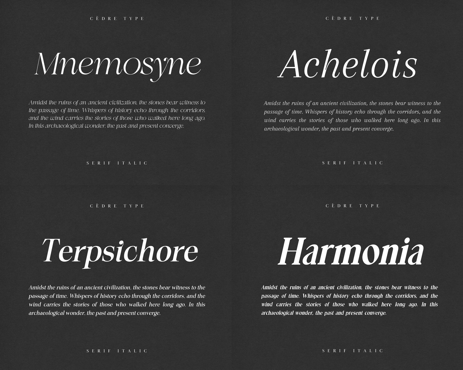 Serif Italic Font Bundle, Modern Serif Italic Fonts OTF, Classy Logo ...