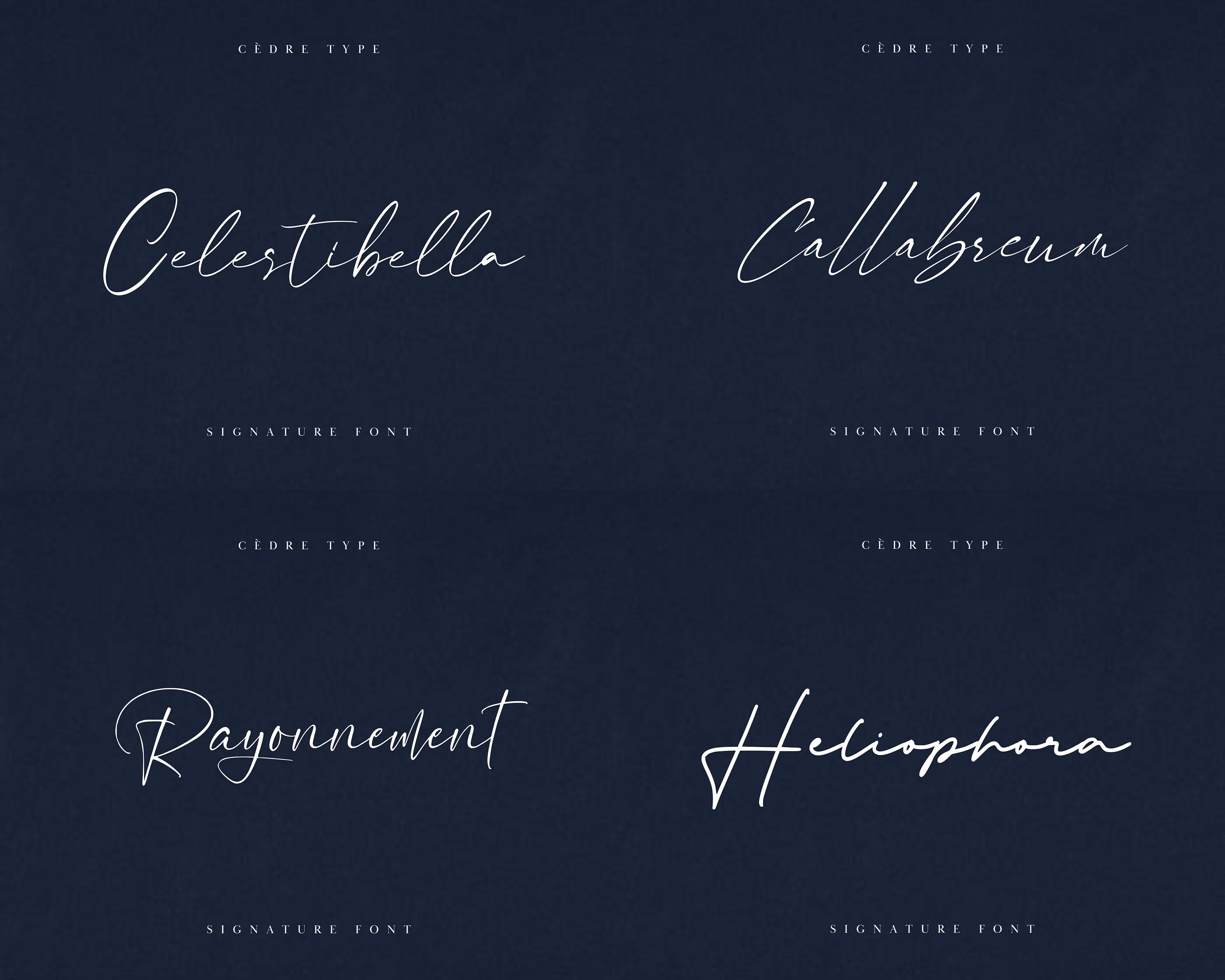 Signature Fonts Bundle 3, Elegant Signature Font, High End Font, Classy ...