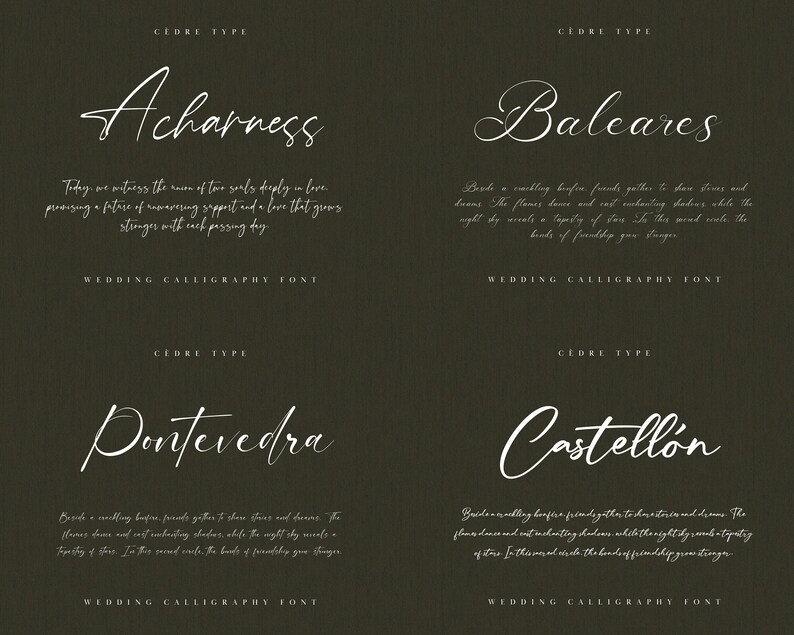 Wedding Calligraphy Fonts Bundle 1, Cursive Wedding Font OTF ...
