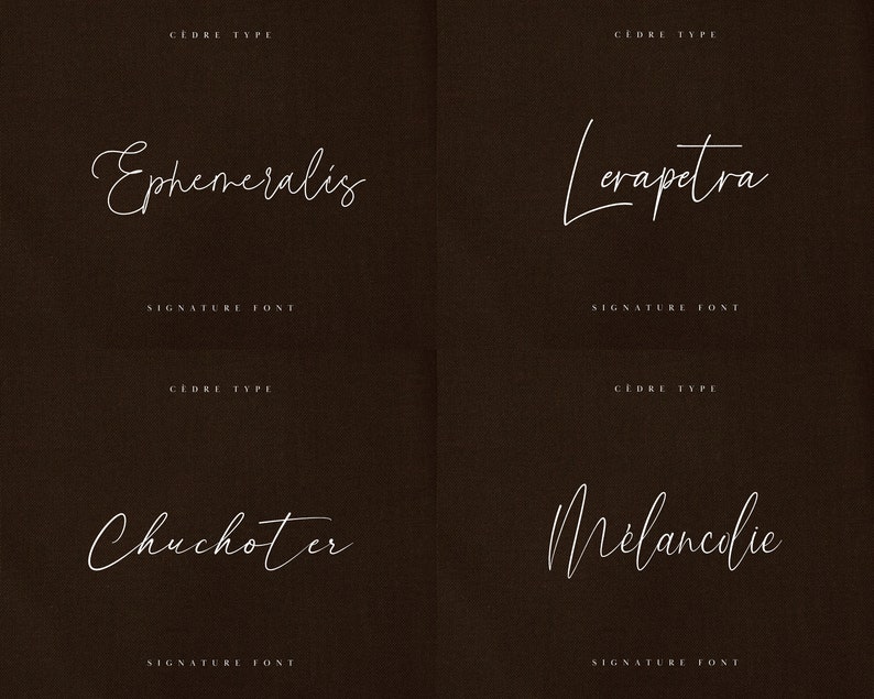 Signature Fonts Bundle 1, Handwritten Signature Font, Handwriting ...