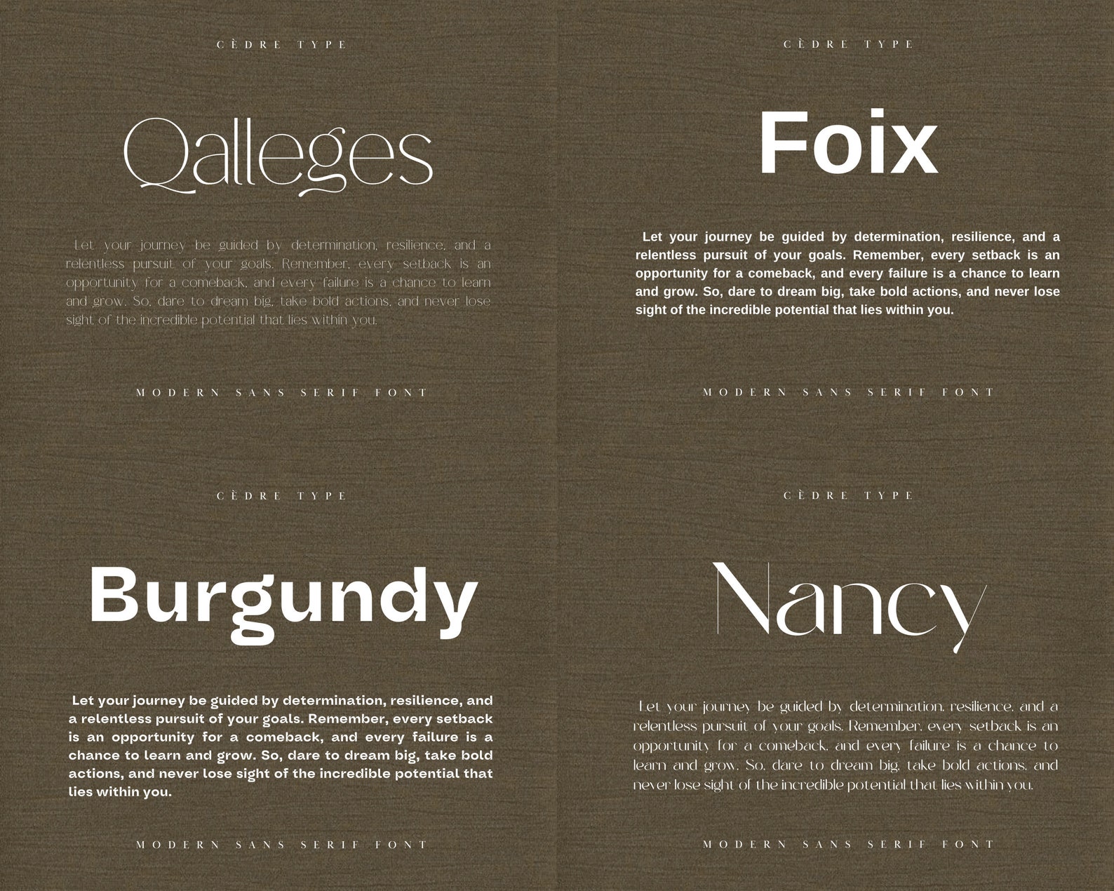 Modern Sans Serif Fonts Bundle 3, Elegant Modern Sans Serif Font OTF ...