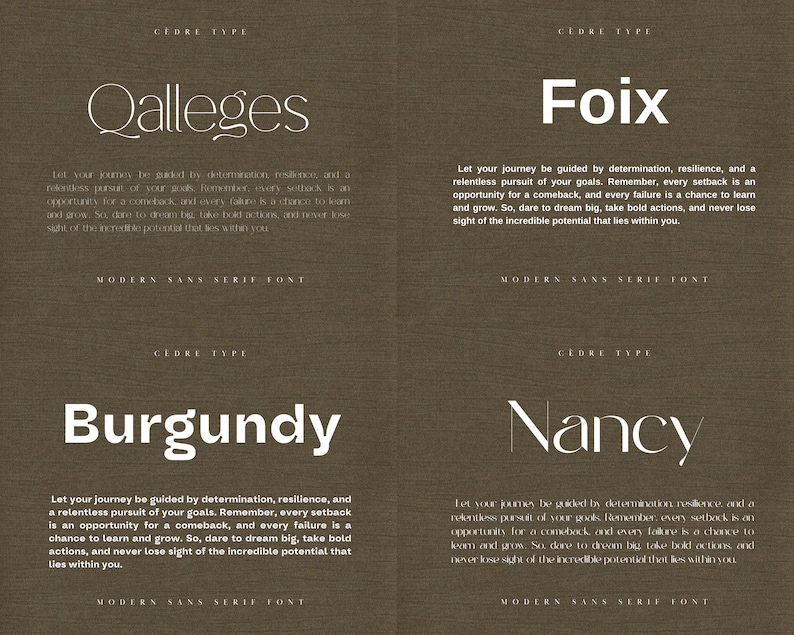 Modern Sans Serif Fonts Bundle 3, Elegant Modern Sans Serif Font OTF ...