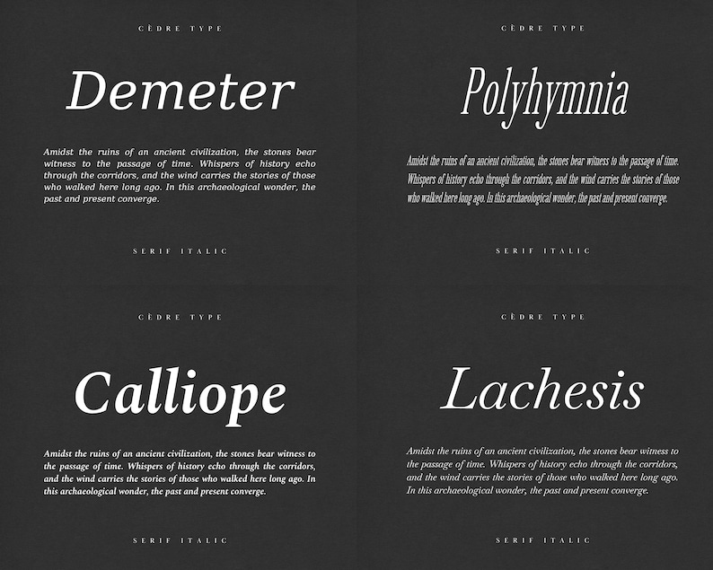 Serif Italic Font Bundle, Modern Serif Italic Fonts OTF, Classy Logo ...