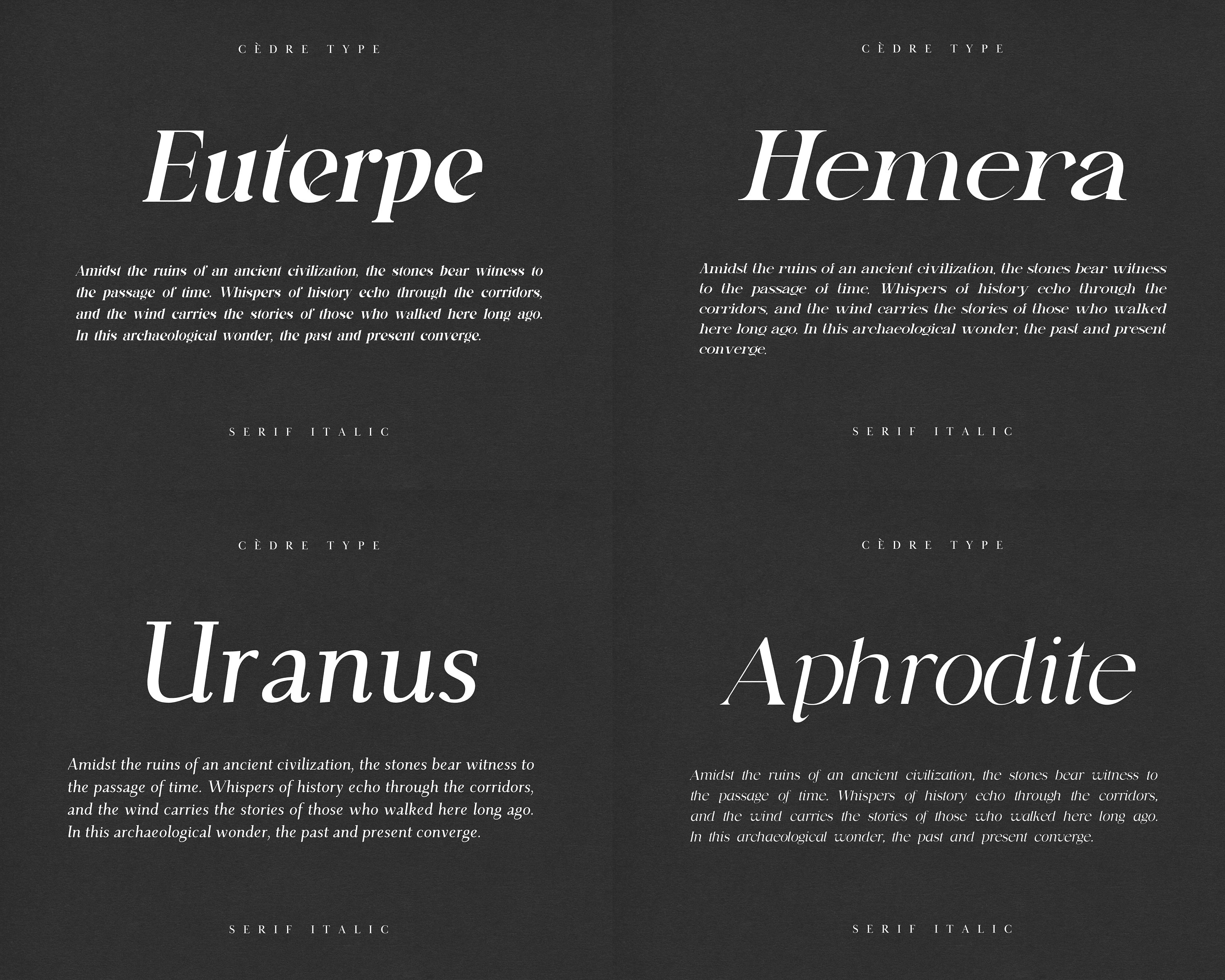 Serif Italic Font Bundle, Modern Serif Italic Fonts OTF, Classy Logo ...