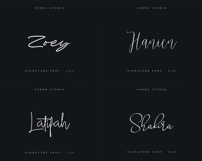 Signature Fonts Bundle 1 Handwritten Signature Font - Etsy