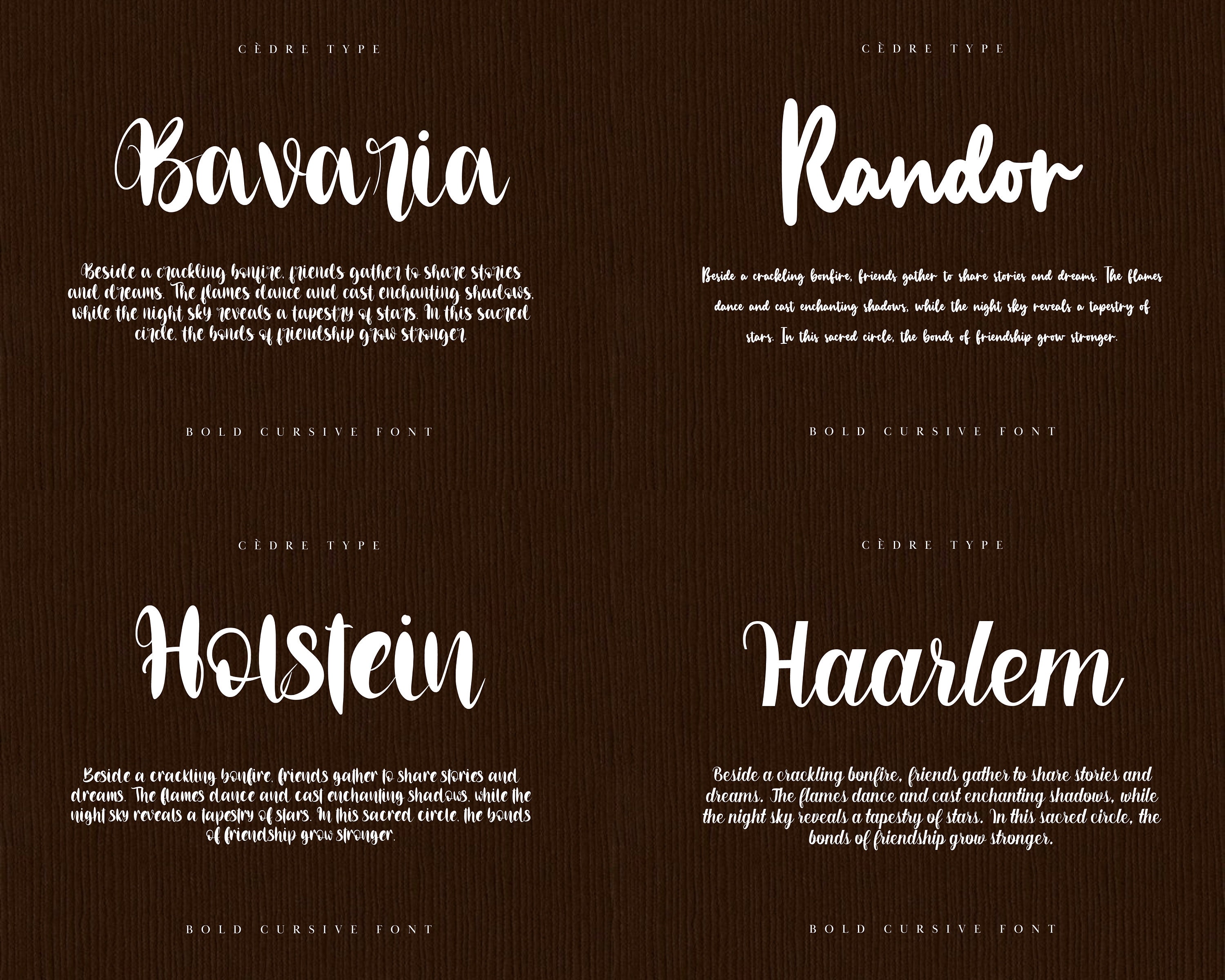 Bold Cursive Fonts Bundle 1, Bold Cursive Font OTF, Signature Font ...