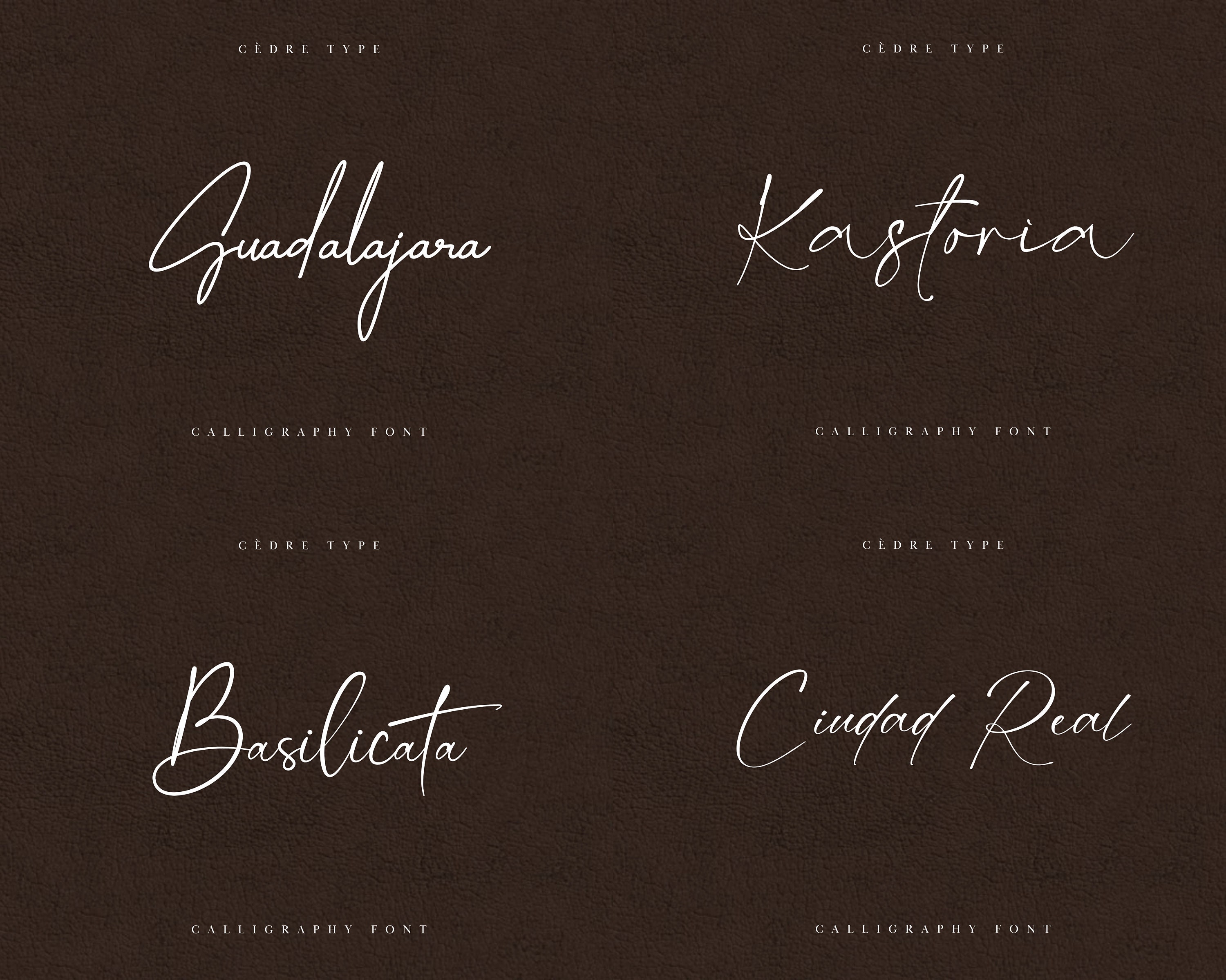 Calligraphy Fonts Bundle 1, Elegant Calligraphy Font OTF, Procreate ...