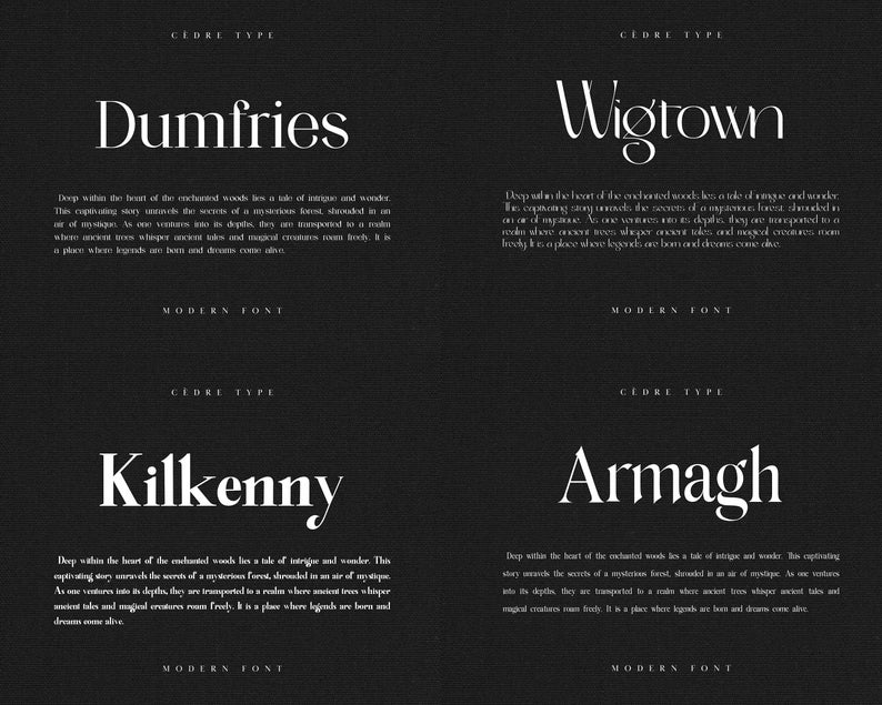 Modern Fonts Bundle 1, Elegant Modern Font OTF, Procreate Fonts, Canva ...