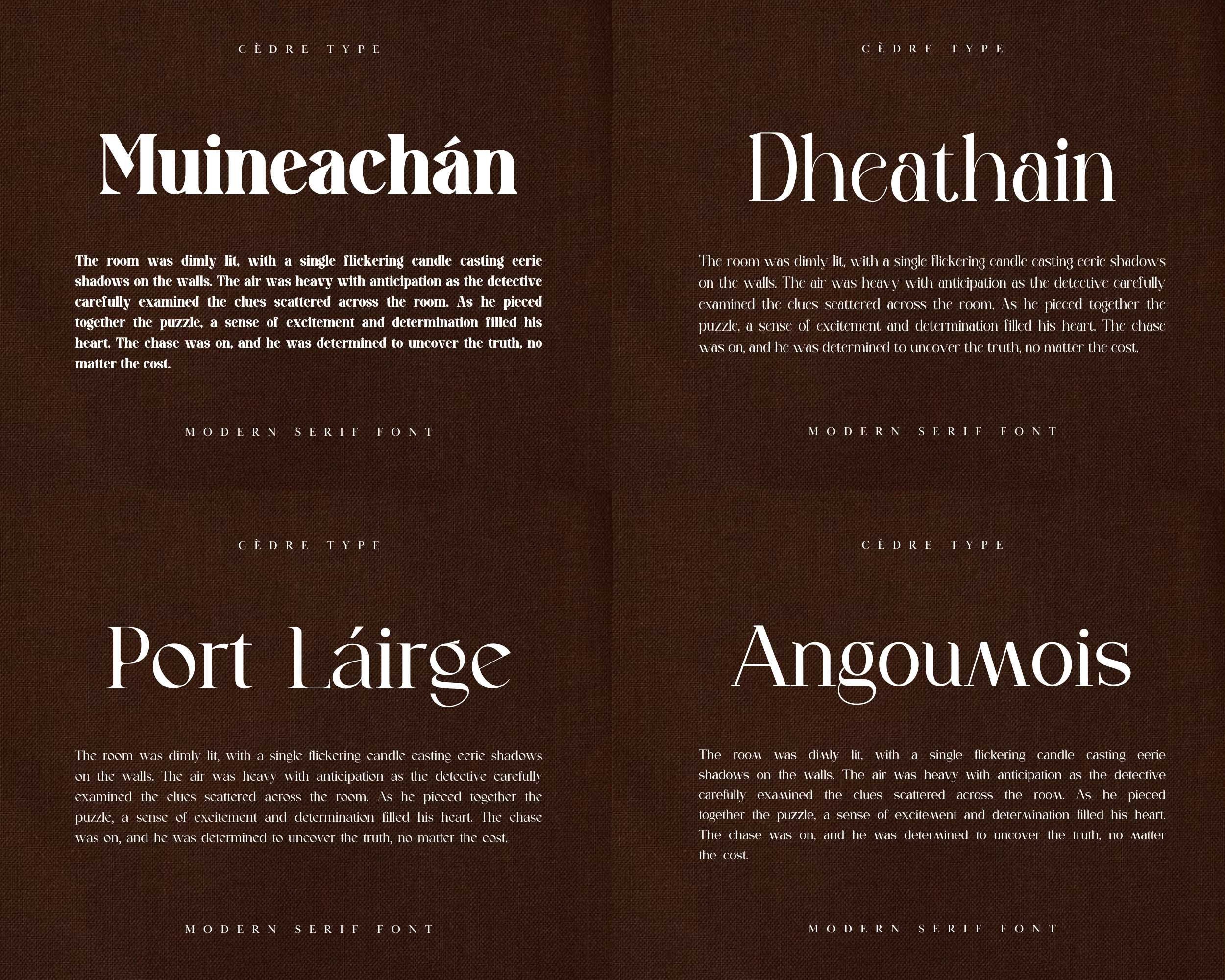 Modern Serif Fonts Bundle 3, Elegant Modern Serif Font OTF, High End ...