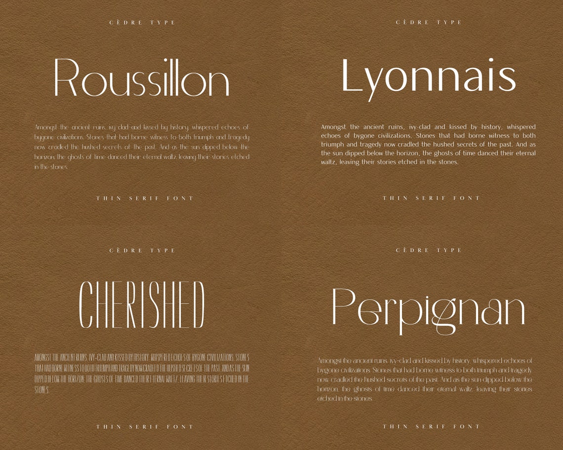 Modern Thin Sans Serif Fonts Bundle, Delicate Thin Sans Serif Font OTF ...