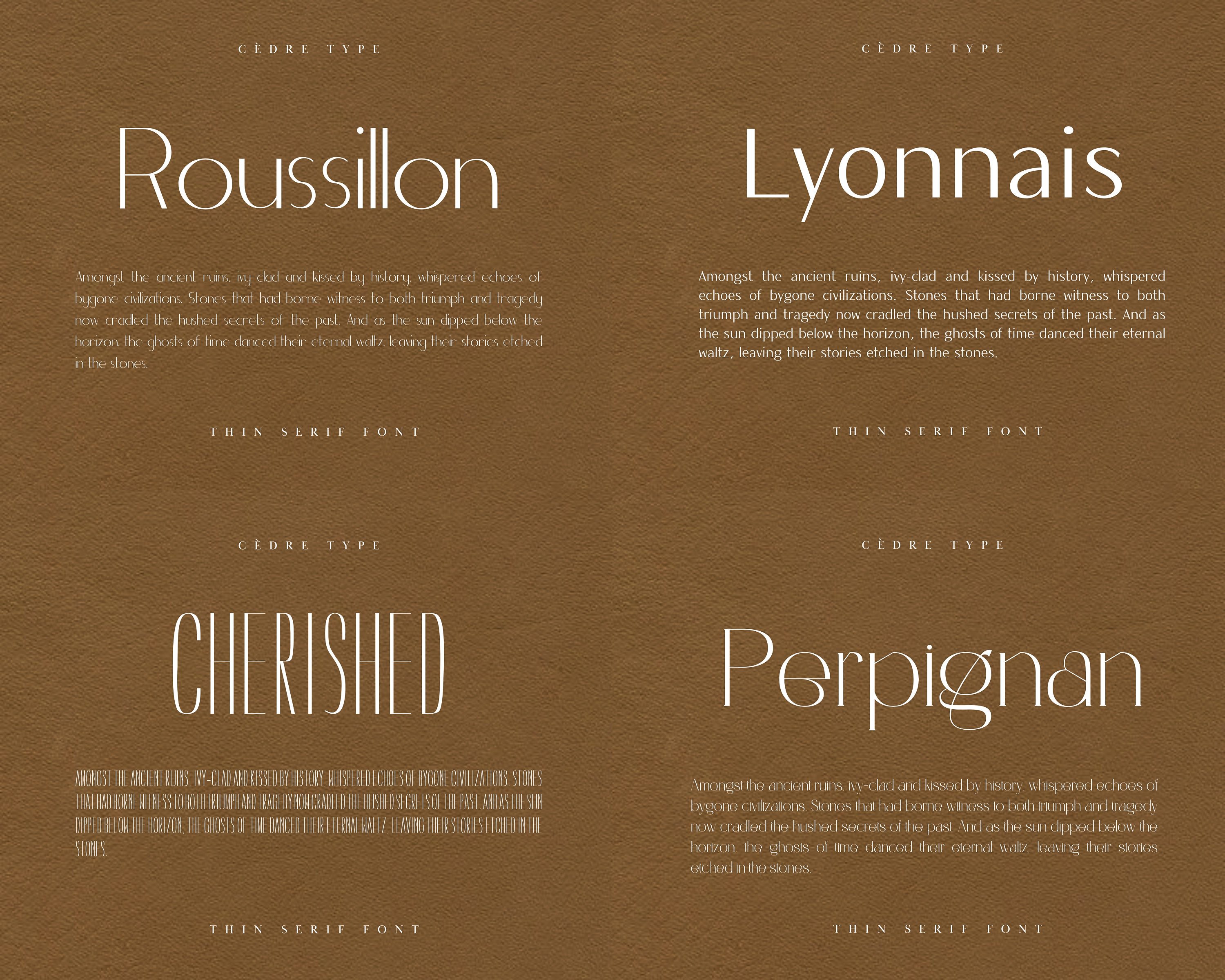 Modern Thin Sans Serif Fonts Bundle, Delicate Thin Sans Serif Font OTF ...
