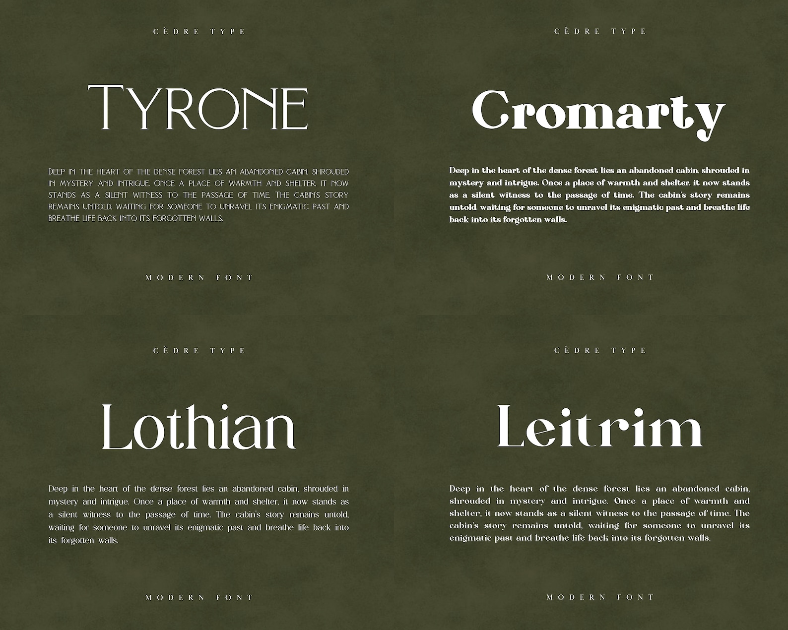 Modern Fonts Bundle 3, Elegant Modern Font OTF, High End Font, Classy ...
