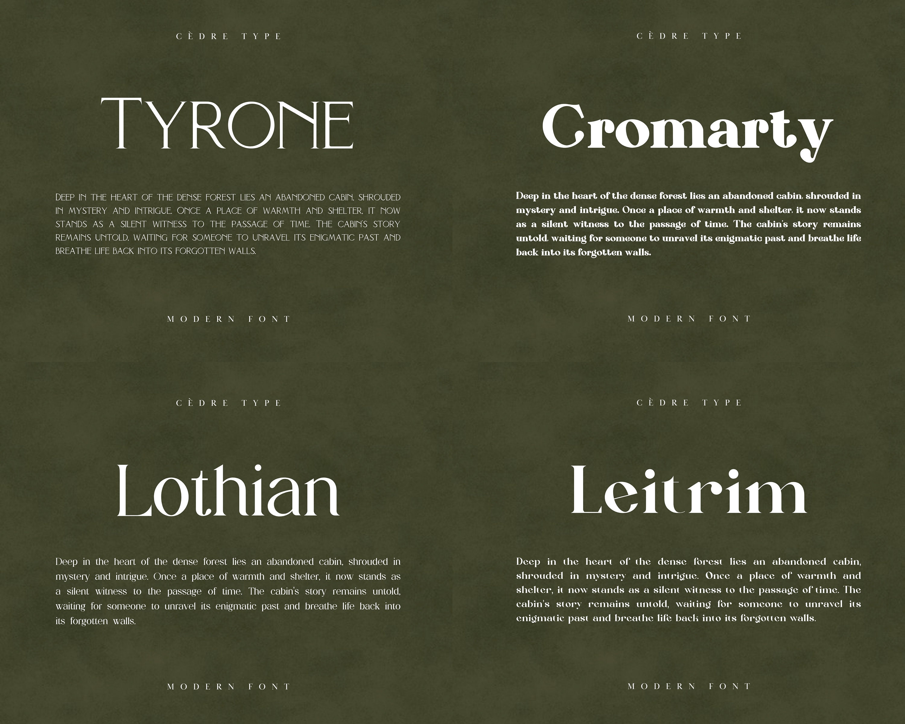Modern Fonts Bundle 3, Elegant Modern Font OTF, High End Font, Classy ...