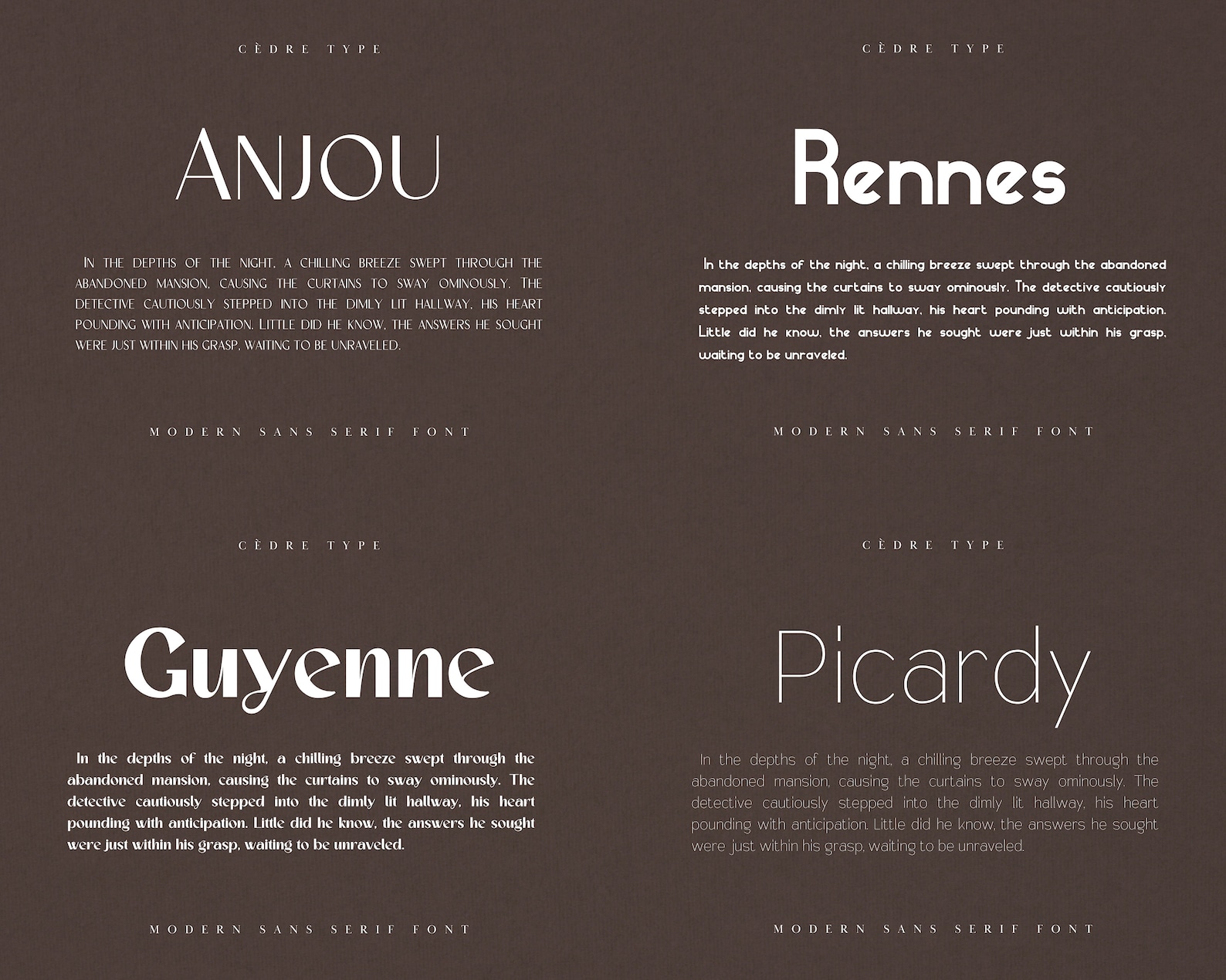 Modern Sans Serif Fonts Bundle 1, Elegant Sans Serif Font OTF ...