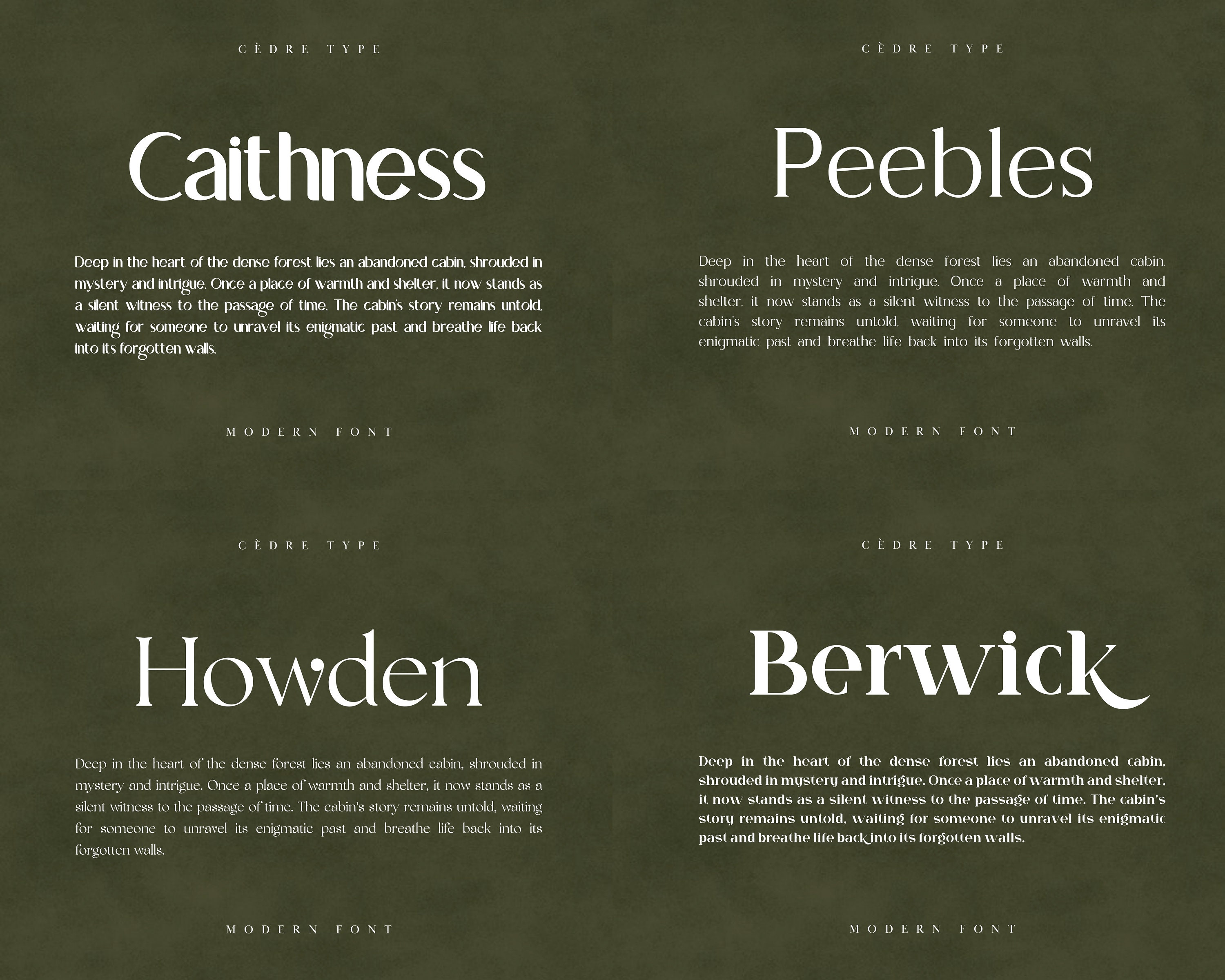 Modern Fonts Bundle 3, Elegant Modern Font OTF, High End Font, Classy ...