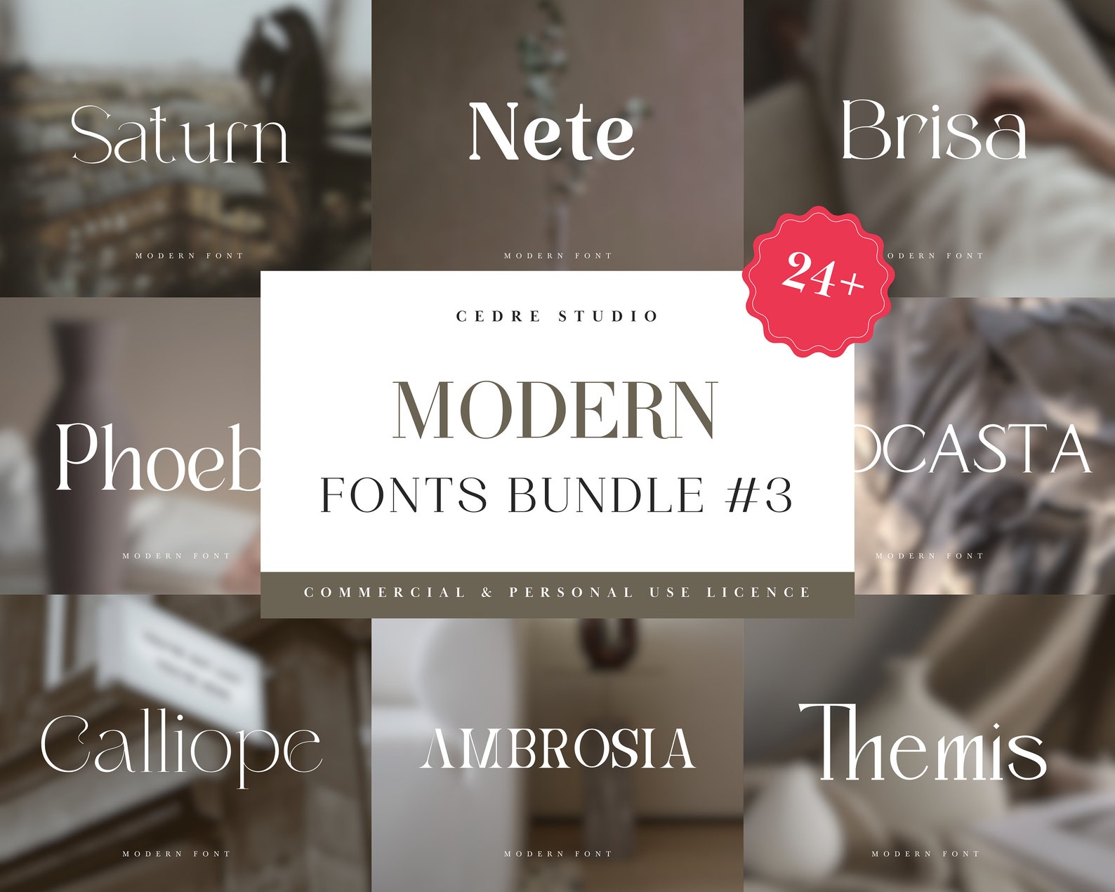 Modern Fonts Bundle 3 Elegant Modern Font OTF High End Font - Etsy