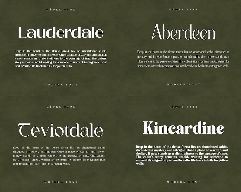 Modern Fonts Bundle 3, Elegant Modern Font OTF, High End Font, Classy ...