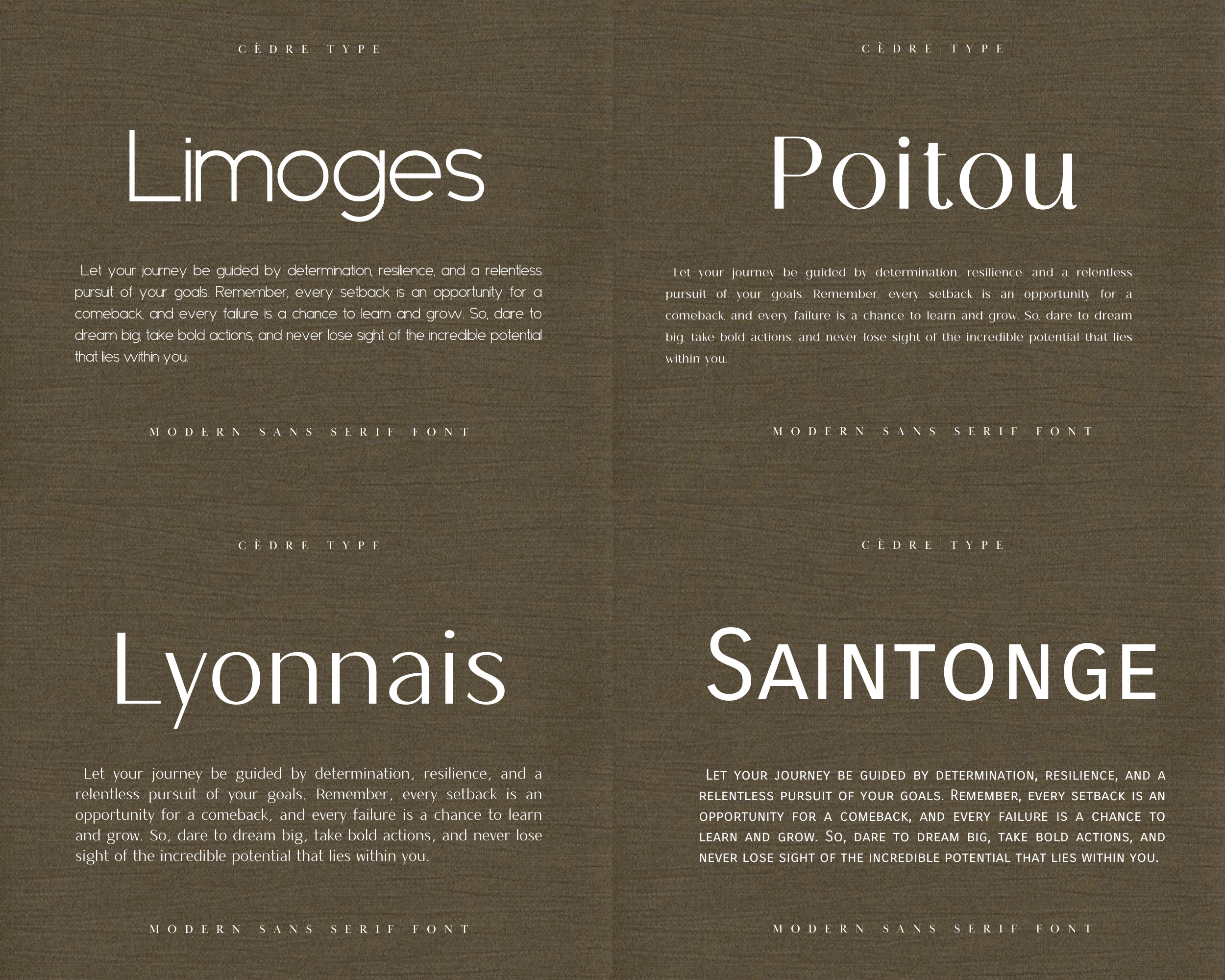Modern Sans Serif Fonts Bundle 3, Elegant Modern Sans Serif Font OTF ...