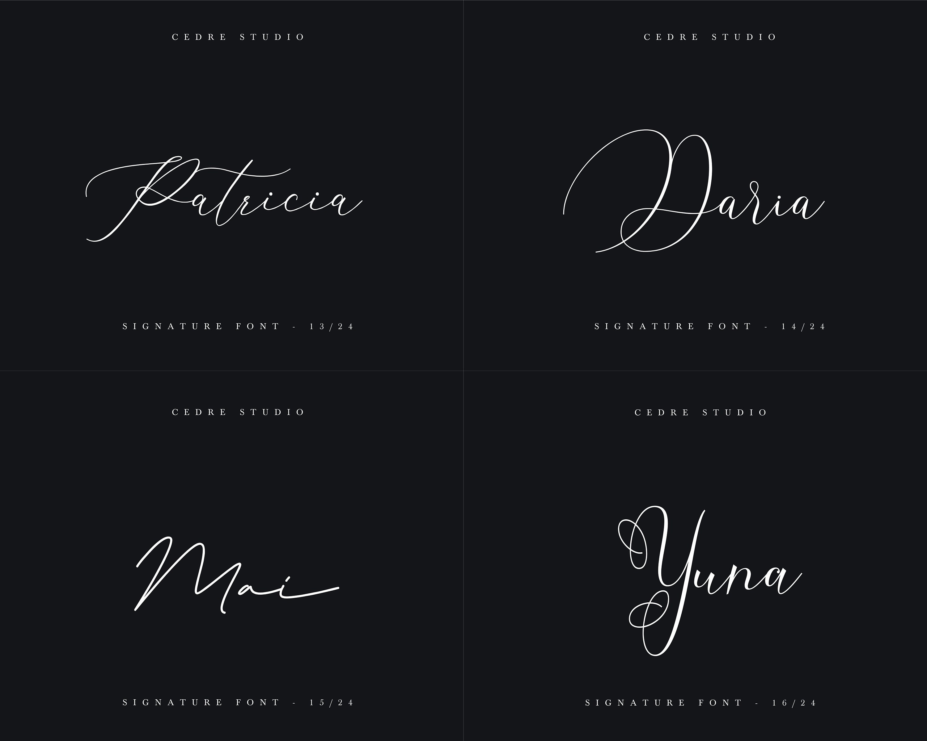 Signature Fonts Bundle 1 Handwritten Signature Font - Etsy